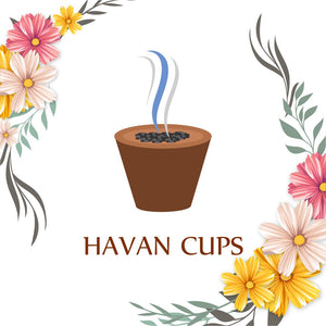 Havan Cups: A Modern Way to Perform Sacred Rituals